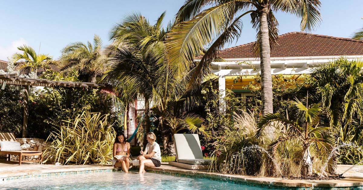 Local Special | Boardwalk Boutique Hotel Aruba